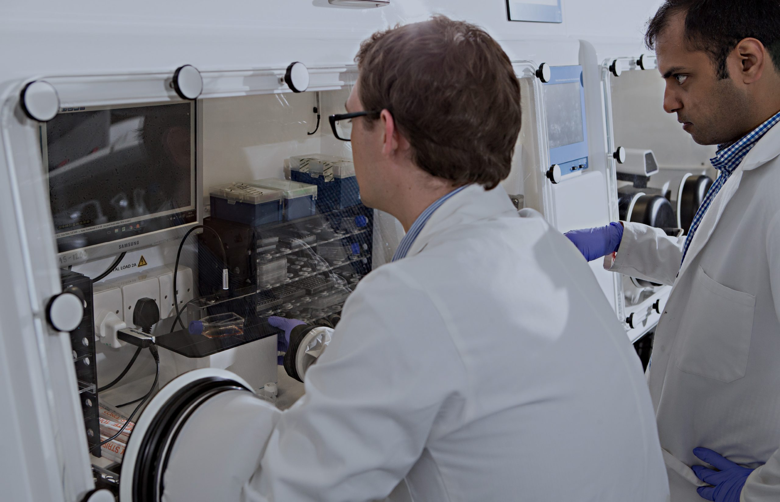 Low-Oxygen Cell Culture: Hypoxia Workstations - Baker