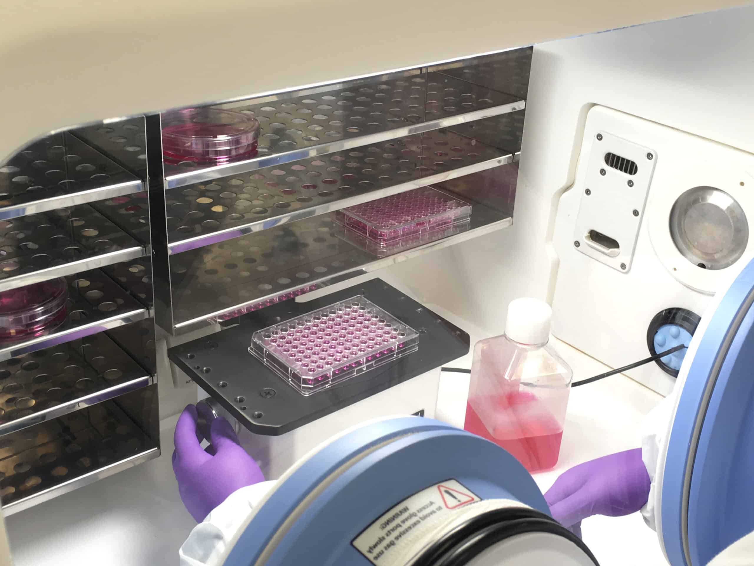 Cell Culture and Life Science Research - Baker