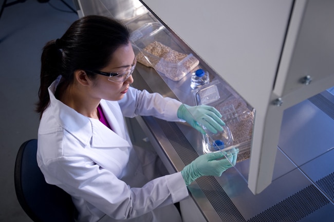 Animal Science and Research - Baker